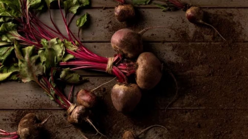 11 Delicious Ways to Eat Root Veggies Under 400 Calories | Udento