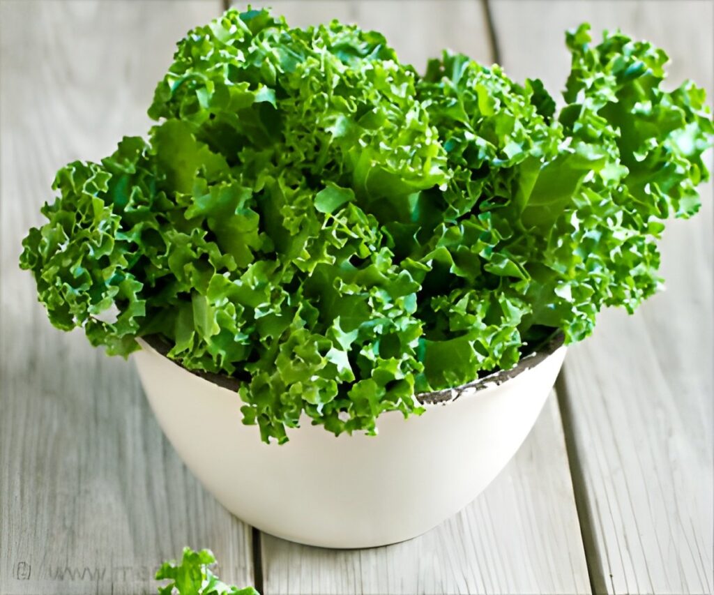 Kale vs. Broccoli: Which Is Healthier? | Udento