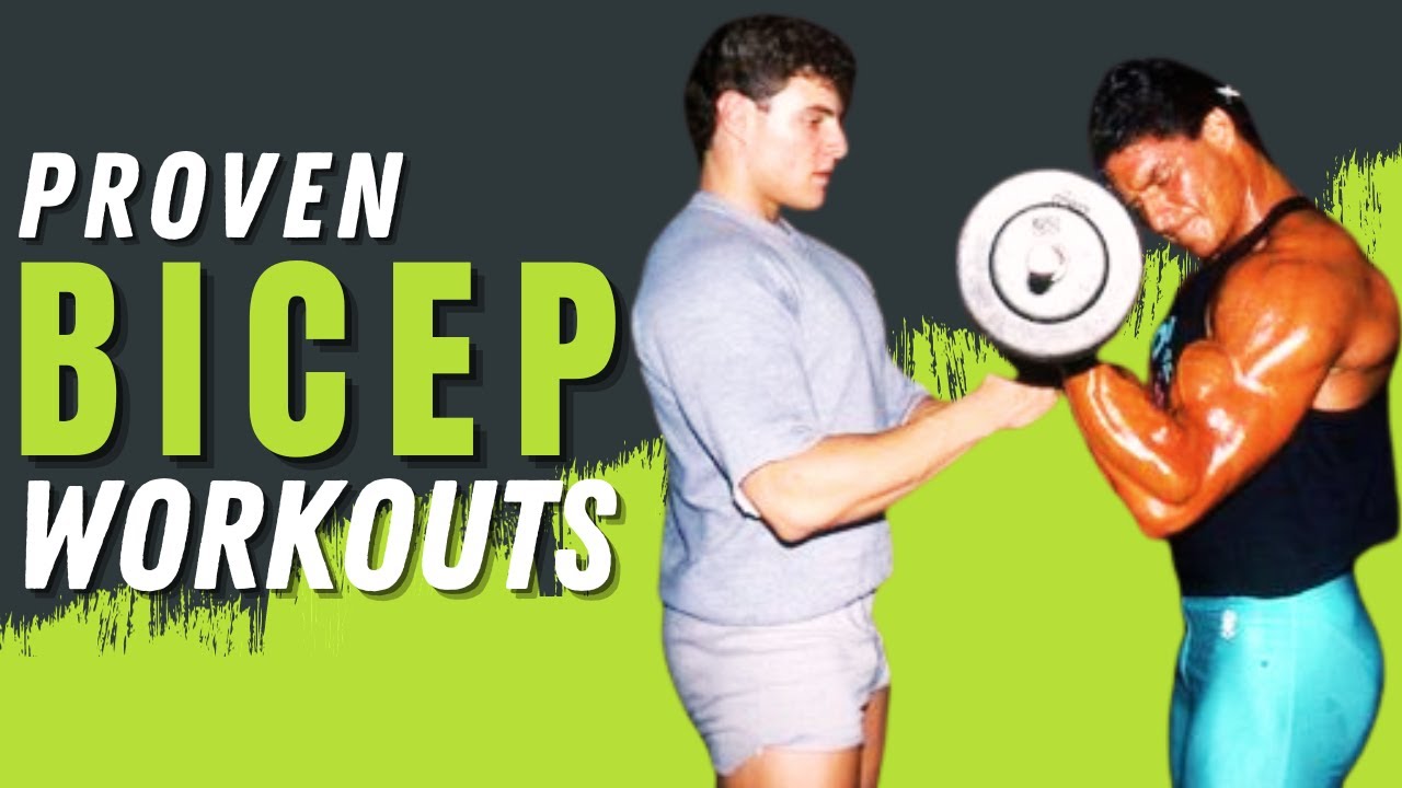 6 Rules for Stronger Biceps: A Guide to Building Powerful Arms | Udento