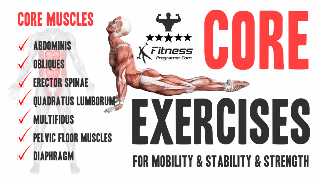 Level Up Core Exercises: Unlocking Strength and Stability | Udento
